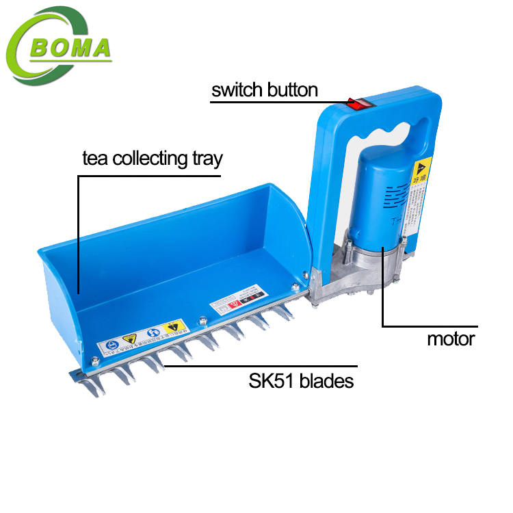 Electric Mini One Man Held Tea Leaf Plucking Machine for Tea Garden ...